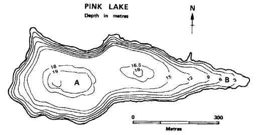 A trip to Pink Lake, Gatineau Park – Katatrepsis
